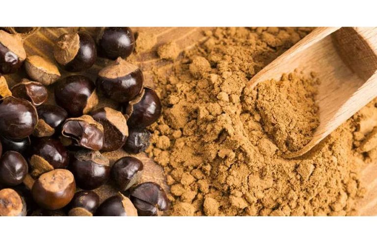 A Lenda do Guaraná - Visite o Amazonas